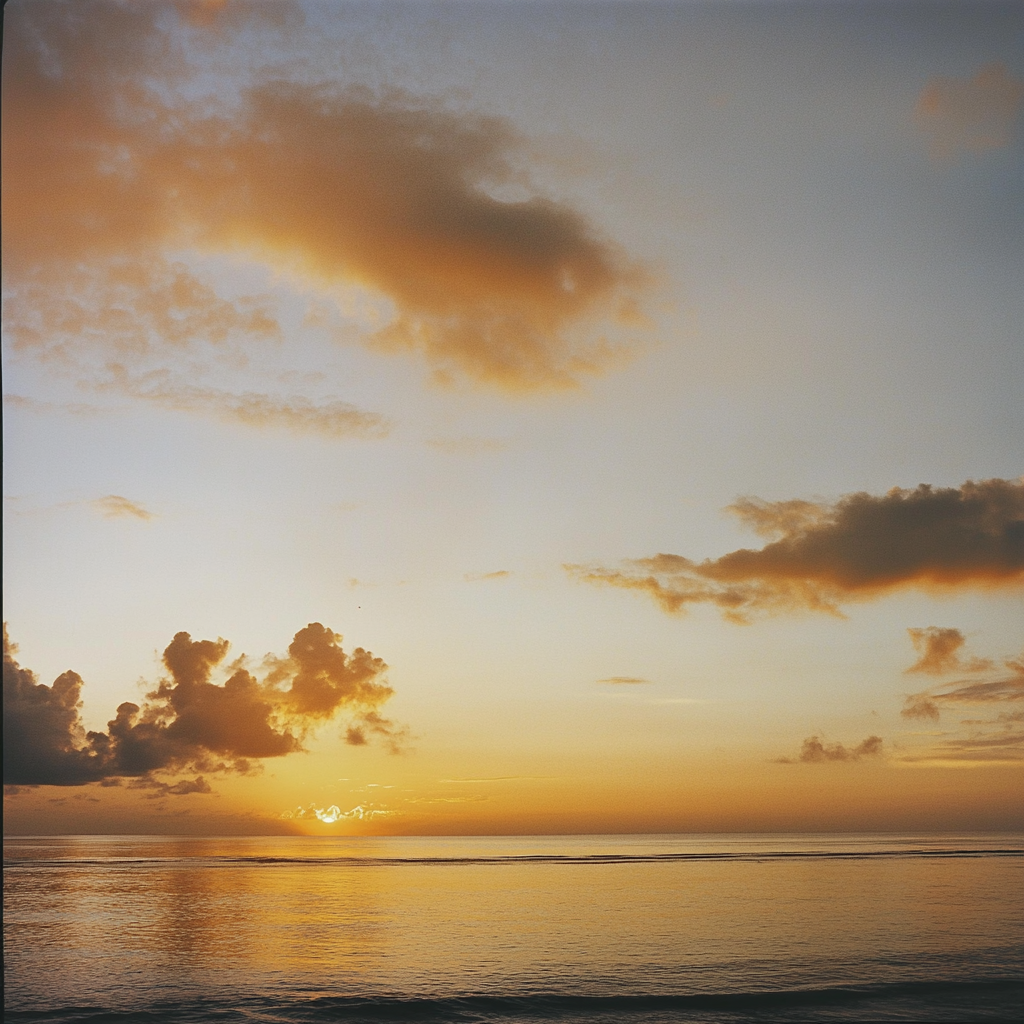 Quantum Field as the Unknowable Future: Rector’s Metaphysical Rationale ...